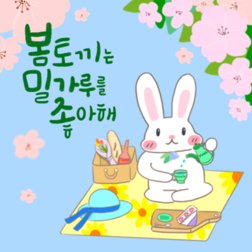 Bomtokki | Webudding Creators